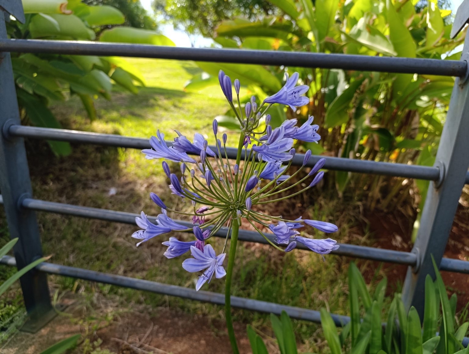 Redmi Note 13 Pro Camera Review: Perfect for Content Creators on a Budget